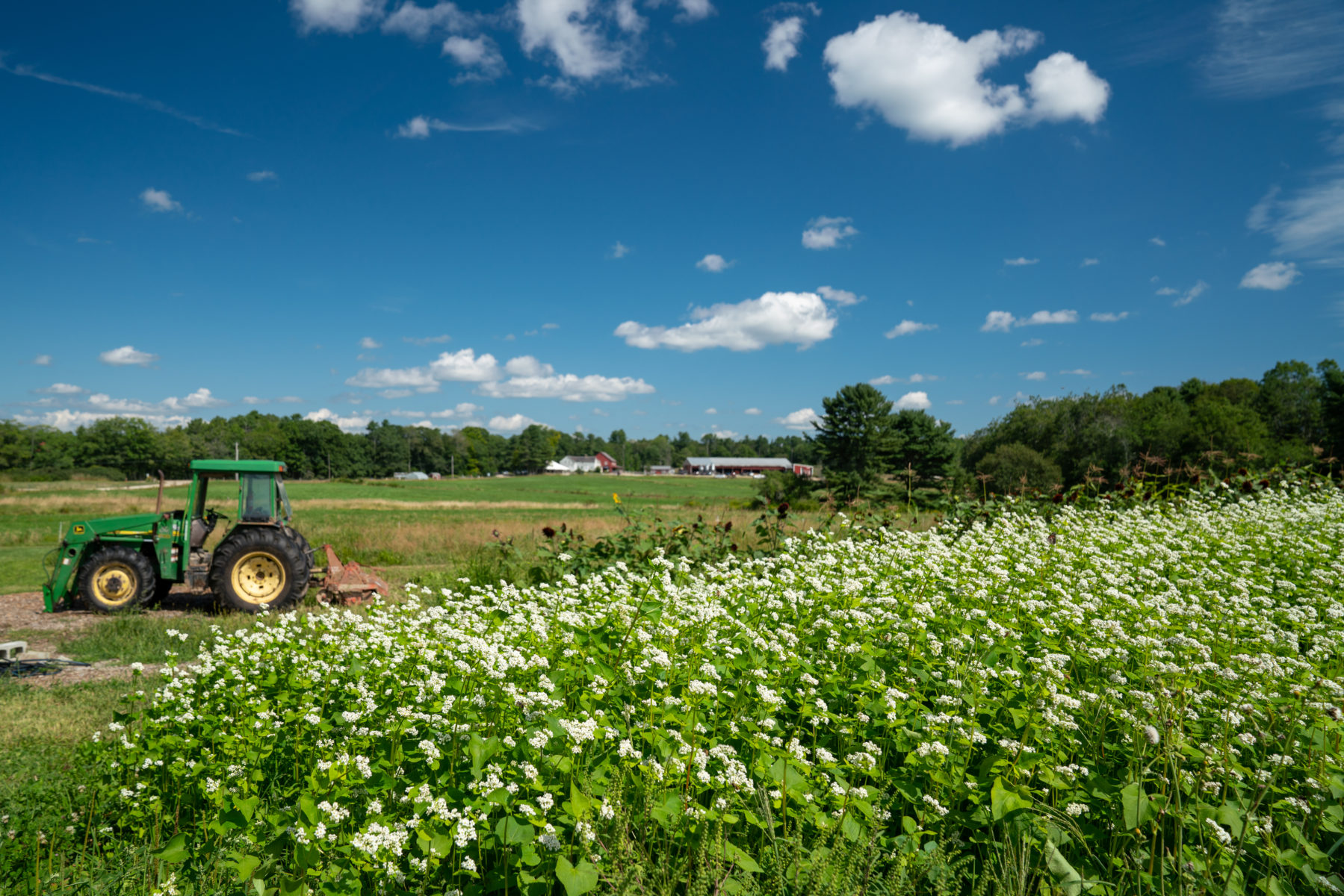 Wolfe’s Neck Farm. Photo Credit: Visit Freeport | Visit Portland