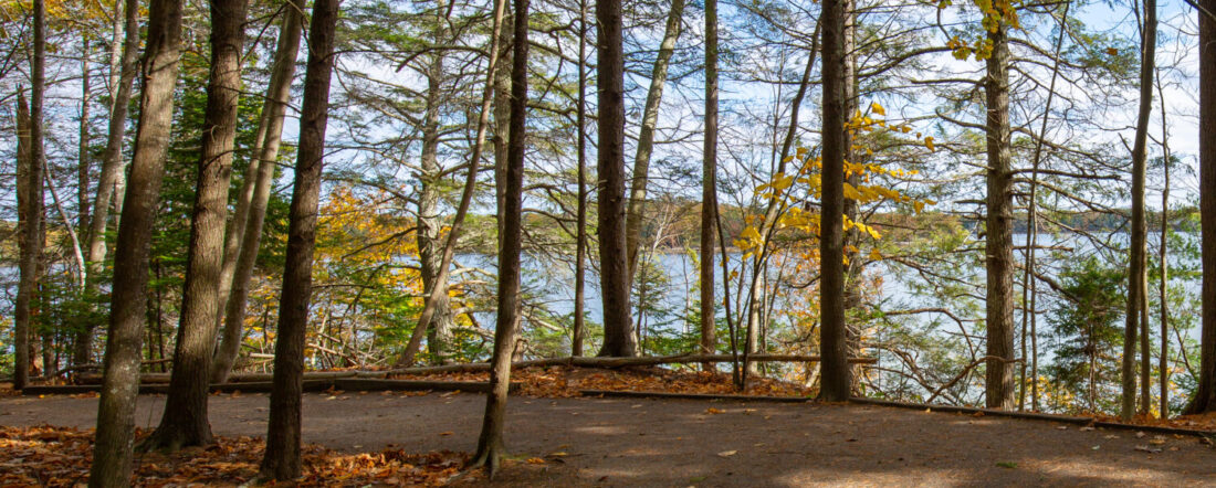 7 Day Maine Fall Foliage Road Trip | Maine | Visit Portland