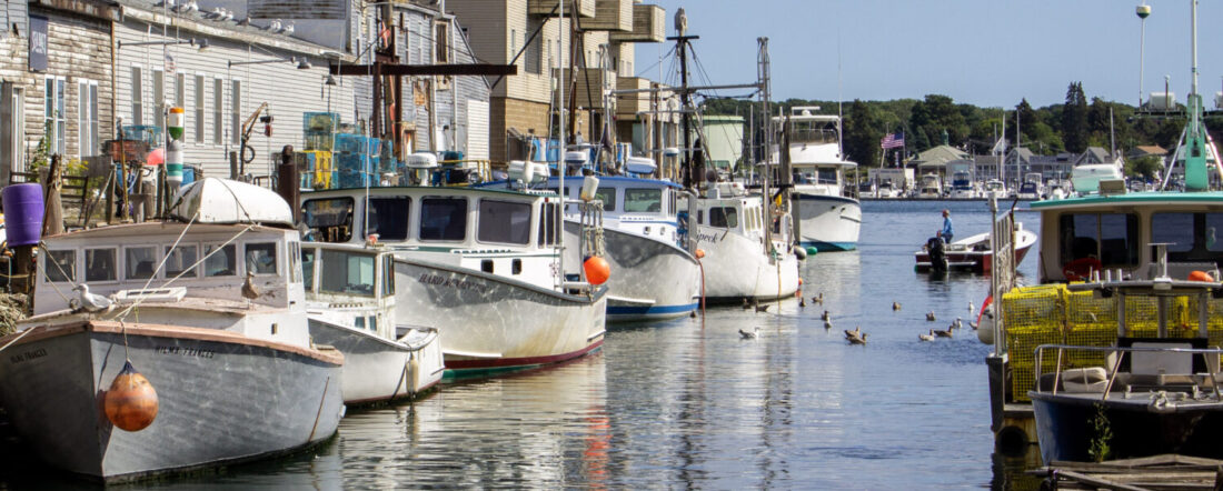 25 Free Things to Do in Greater Portland, Maine | Visit Portland