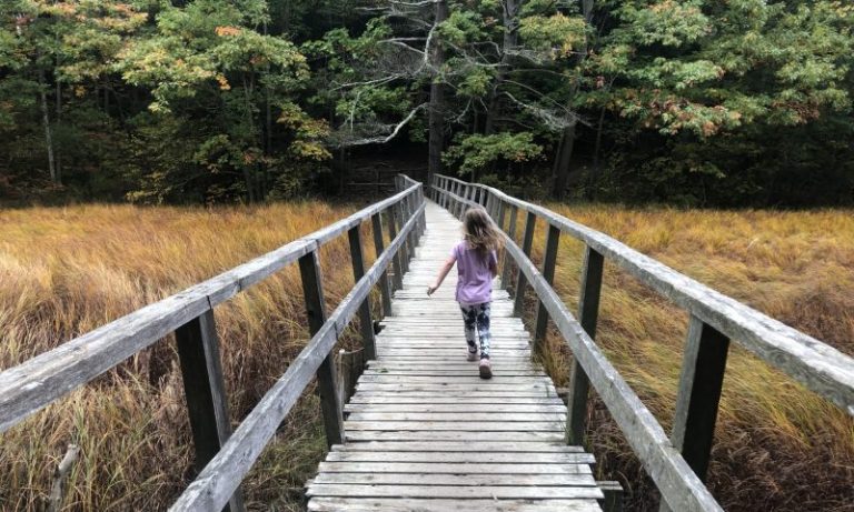 Photo-Credit-Courtney-Tuttle-Fore-River-Sanctuary-Photo-1 | Visit Portland