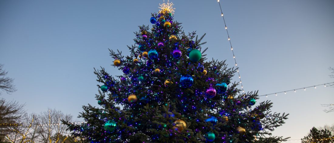 What to Do Around the Holidays: A Weekend of Christmas Magic | Visit ...