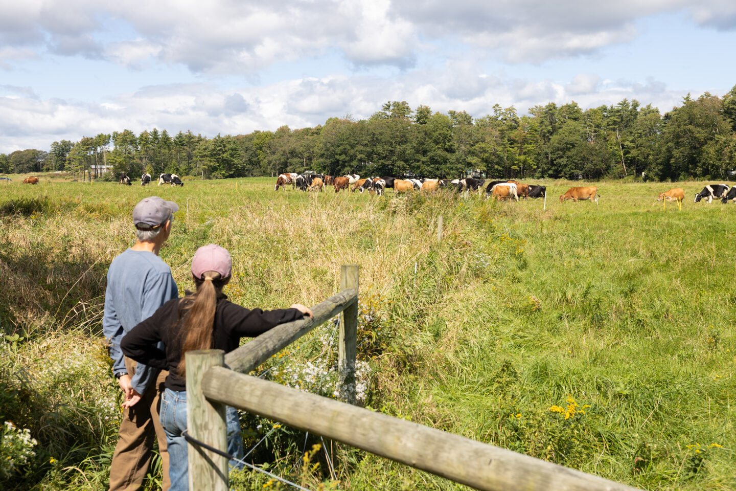 Wolfe's Neck Center | Maine Nature Center | Visit Portland