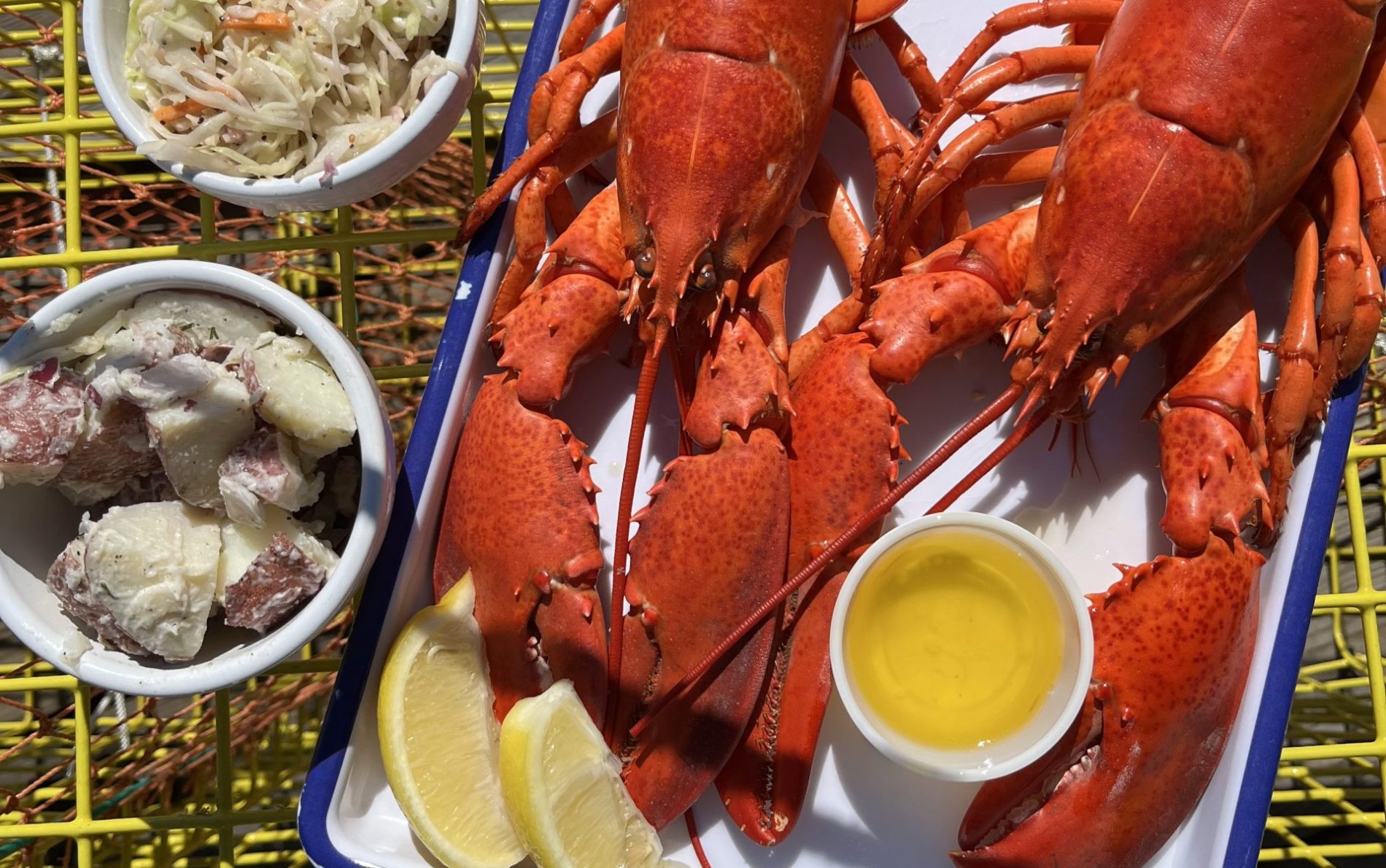 Maine Lobster Week at Luke’s | Visit Portland
