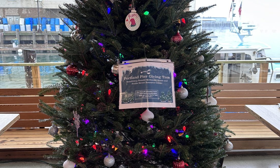 Portland Pier Giving Tree | Visit Portland