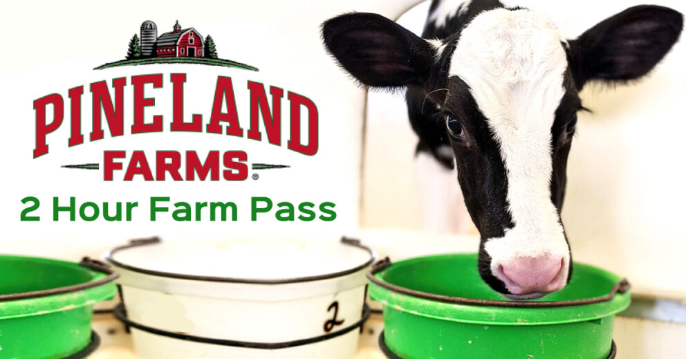 Pineland Farms | Family Friendly Activities | Visit Portland