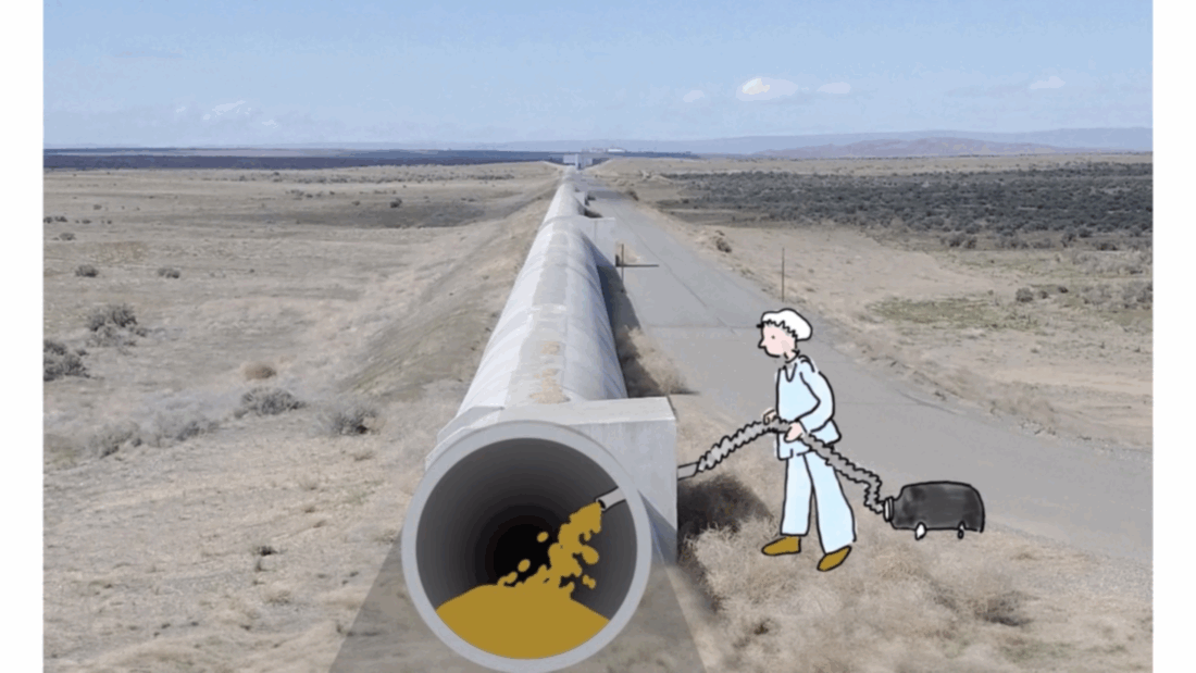 Cosmic Coda | Visit Portland